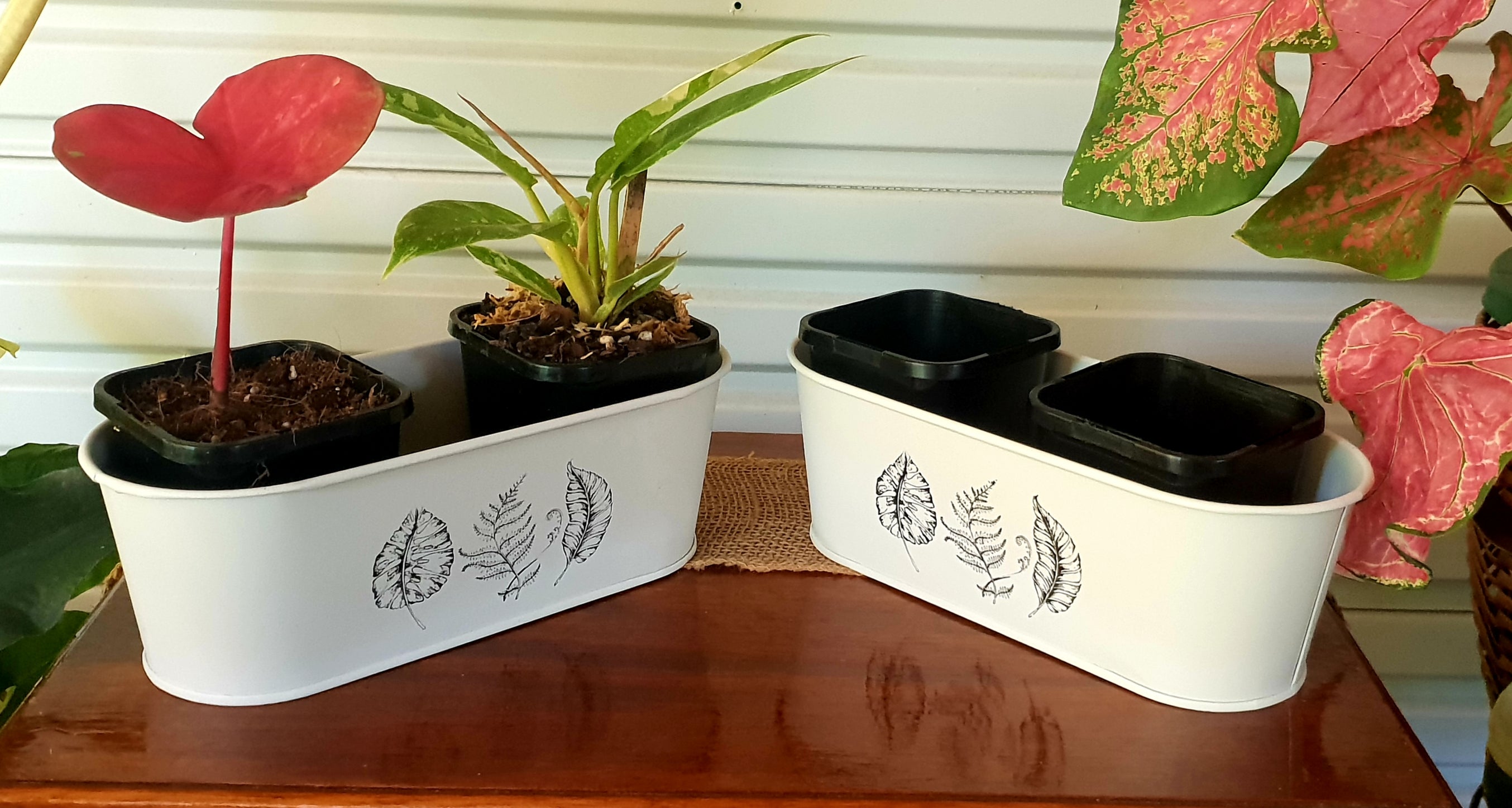 Howard Farm Lifestyle