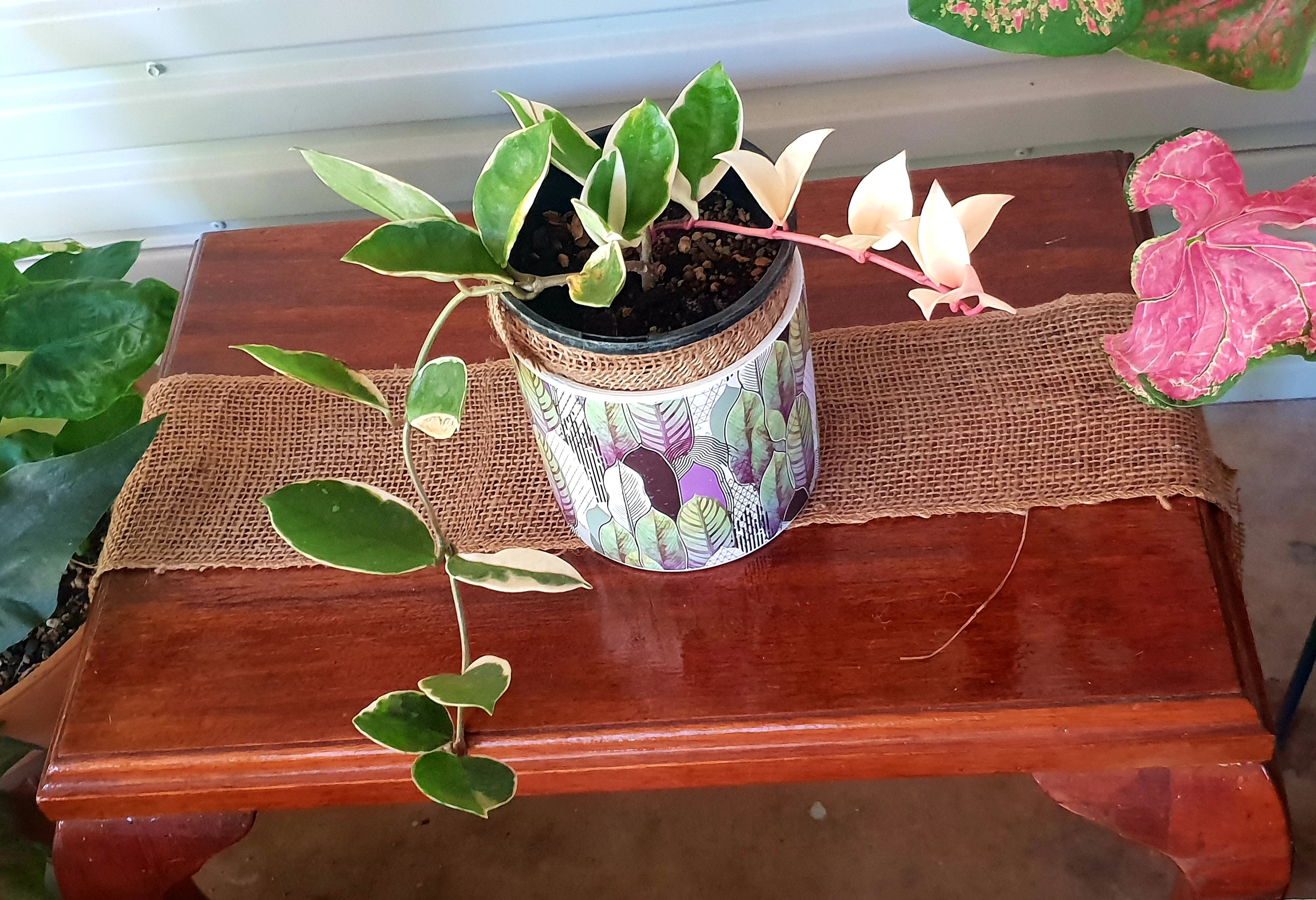 Howard Farm Lifestyle