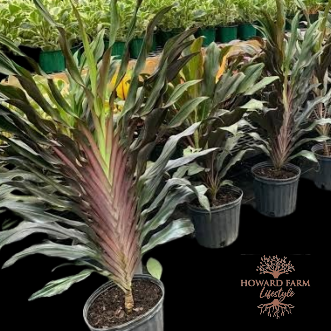 Howard Farm Lifestyle