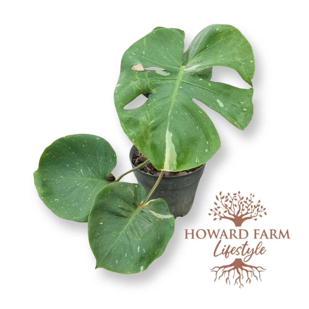 Howard Farm Lifestyle